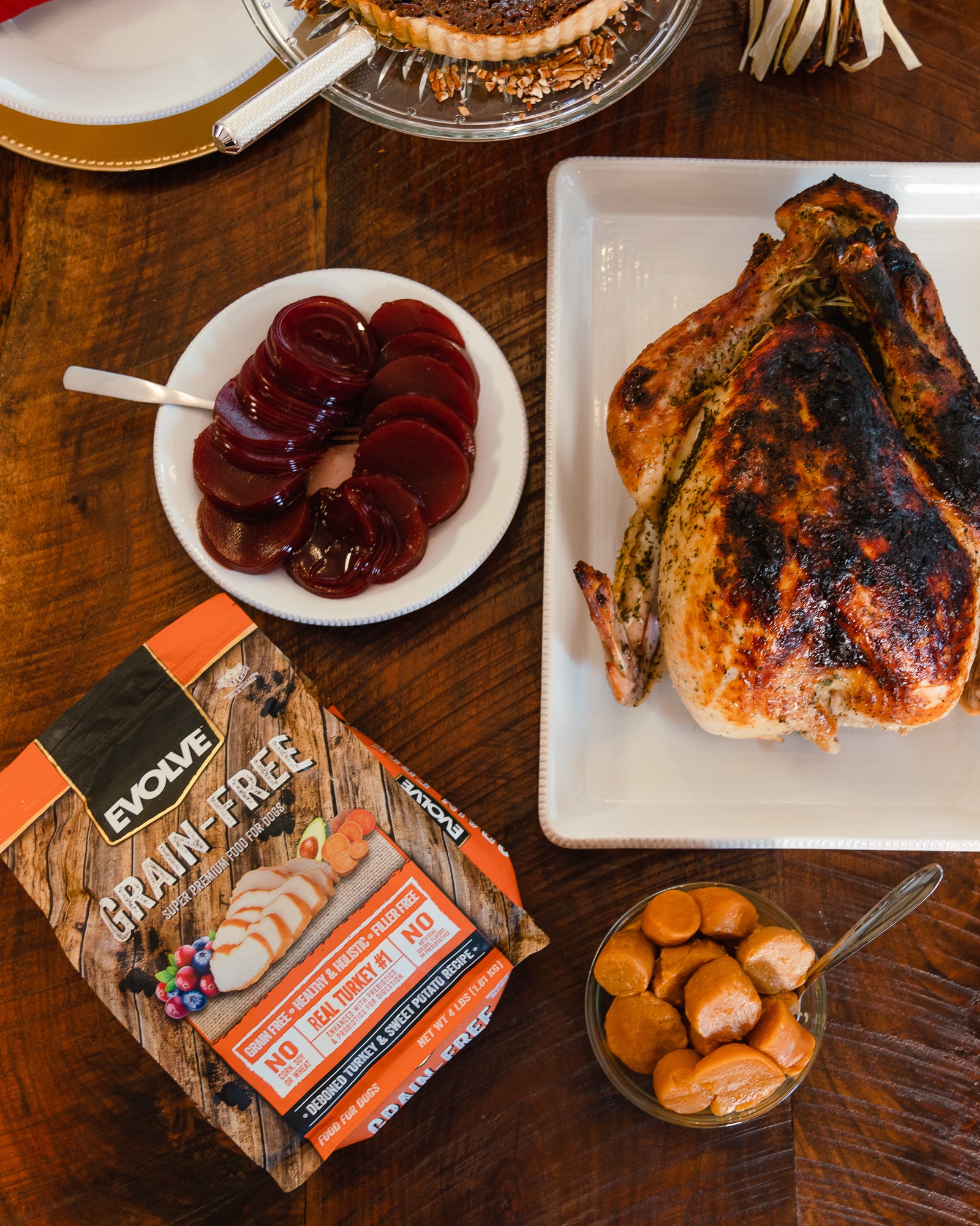 Your Pup's Thanksgiving Menu – Sunshine Pet Store