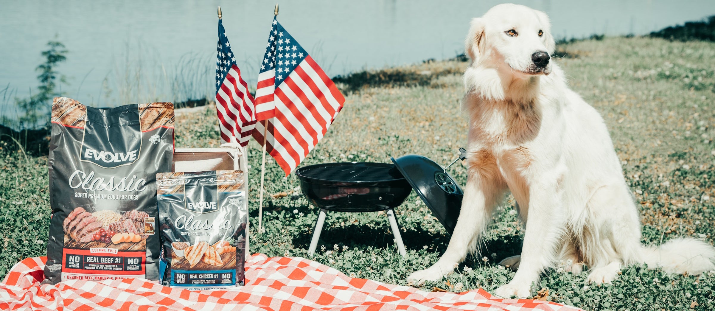 Why Sunshine? – Sunshine Pet Store