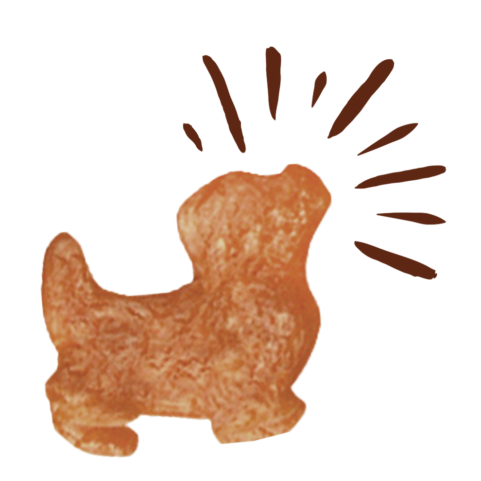 Best Low Calorie Dog Treats: Pup Corn Plus Bacon & Peanut Butter ...